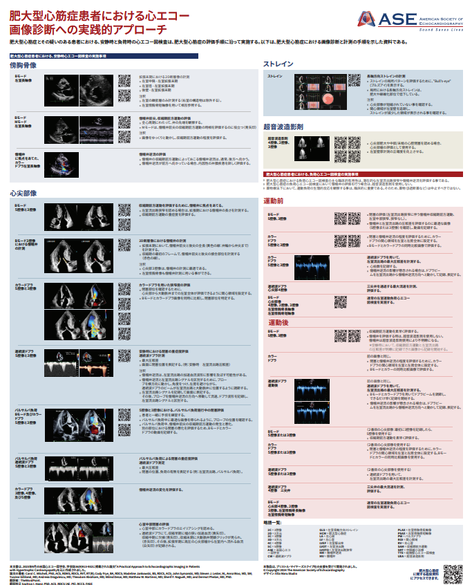 A Practical Approach to Echocardiographic Imaging in Patients with ...