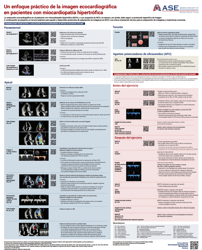 A Practical Approach to Echocardiographic Imaging in Patients with ...