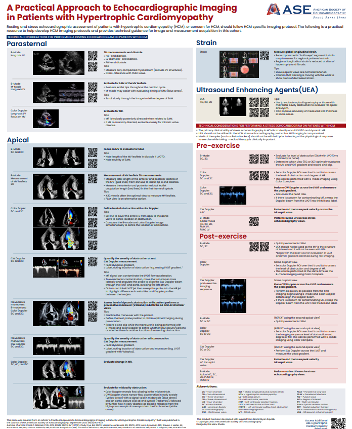 A Practical Approach to Echocardiographic Imaging in Patients with ...