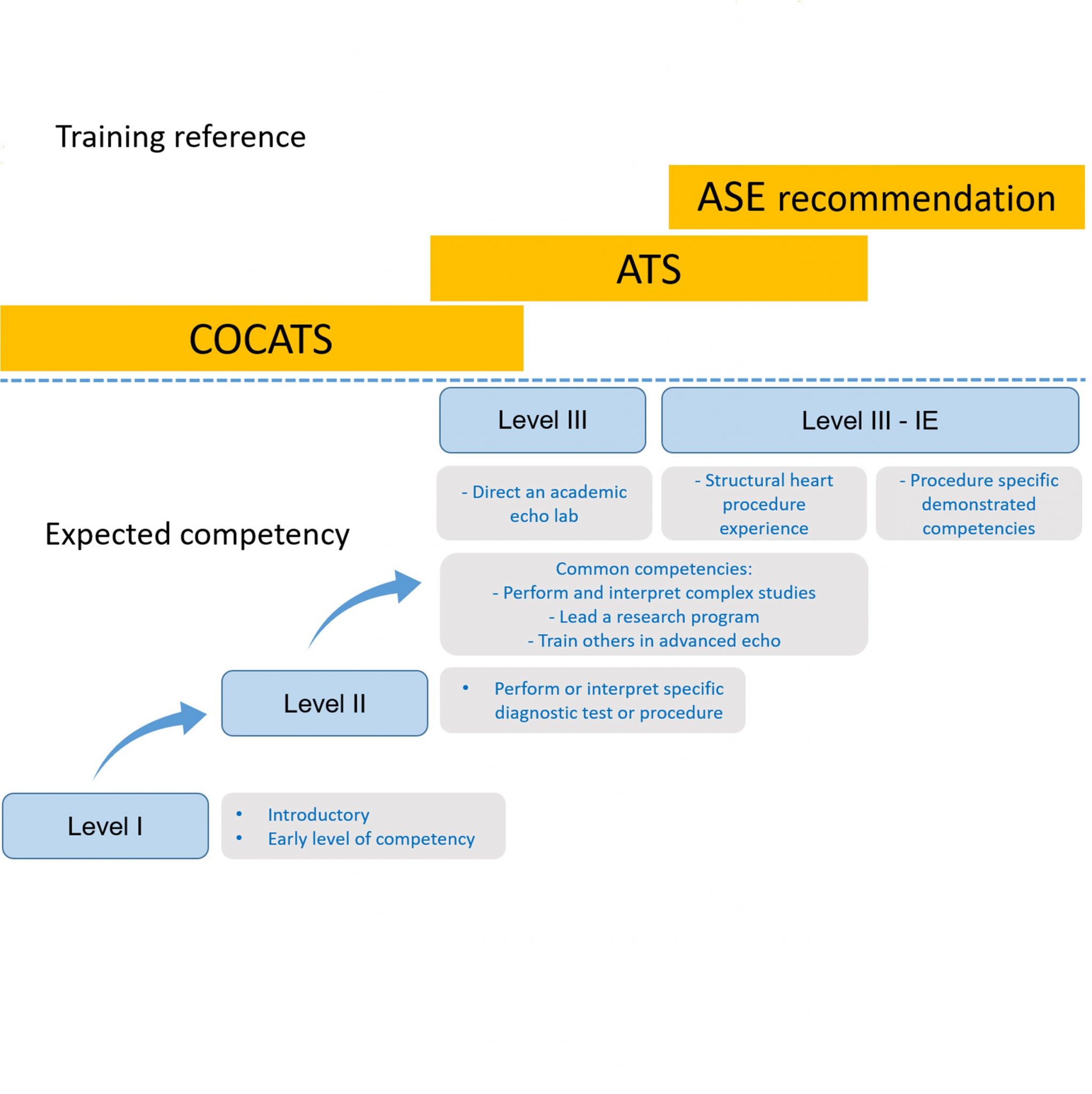 Interventional Echocardiography for SHD – ASE
