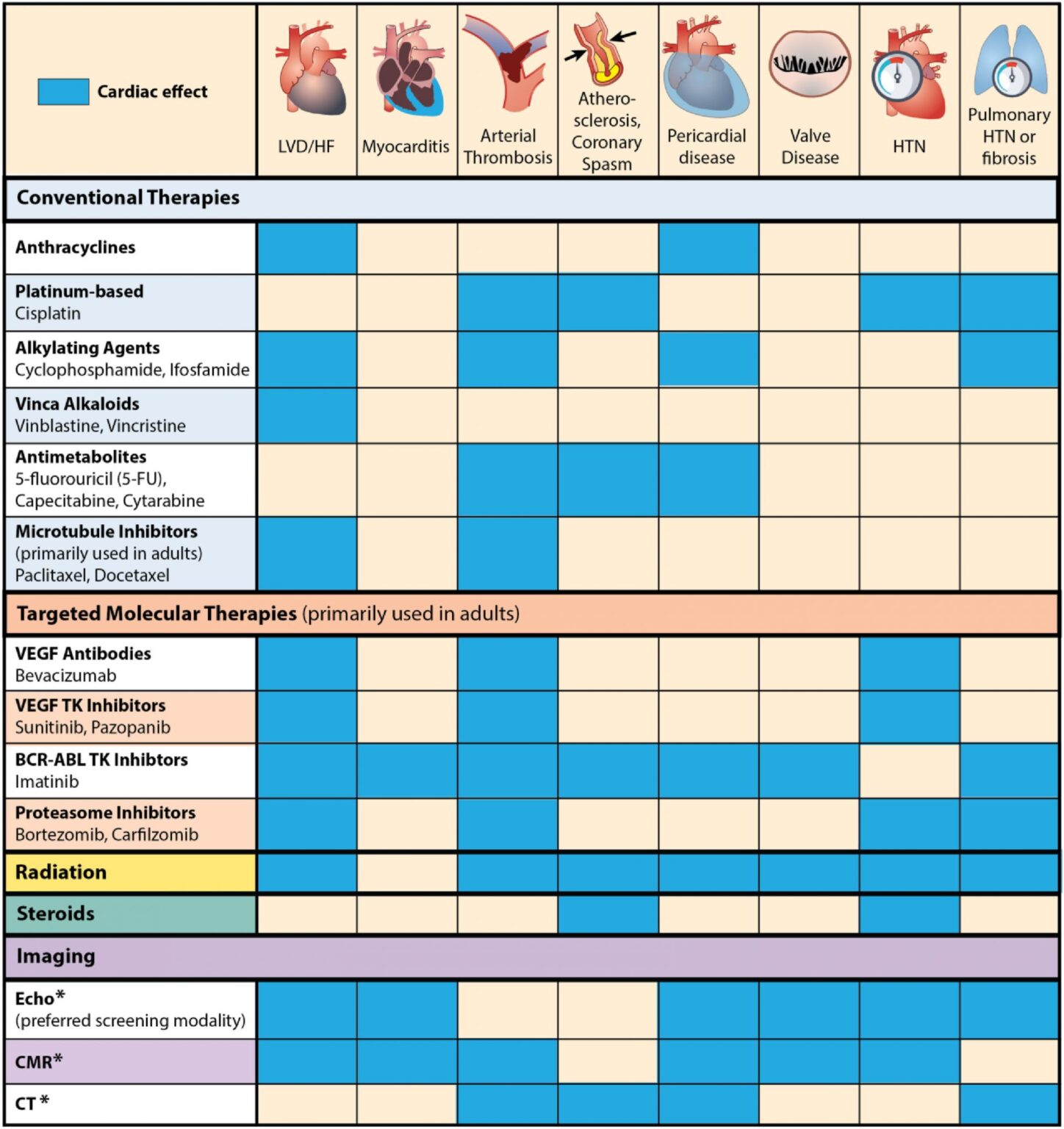 ASE Guidelines - ASE