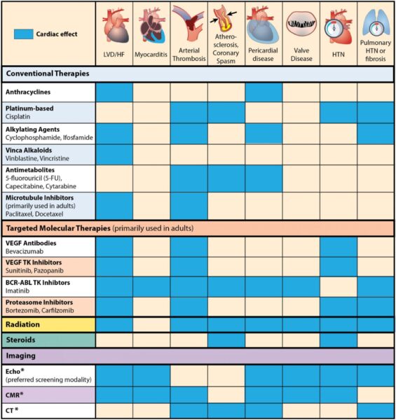 ASE Guidelines - ASE