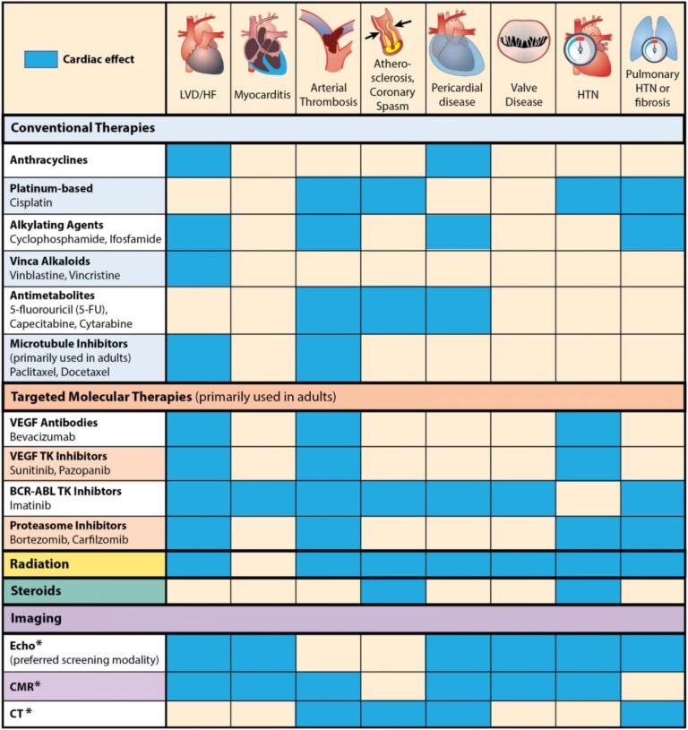 ASE Guidelines - ASE