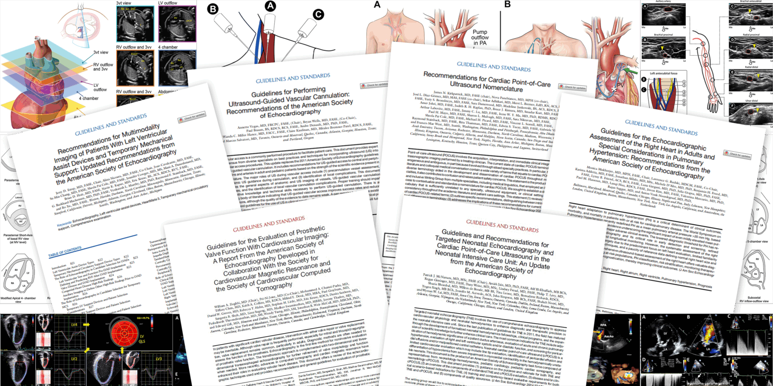 ASE Guidelines - ASE