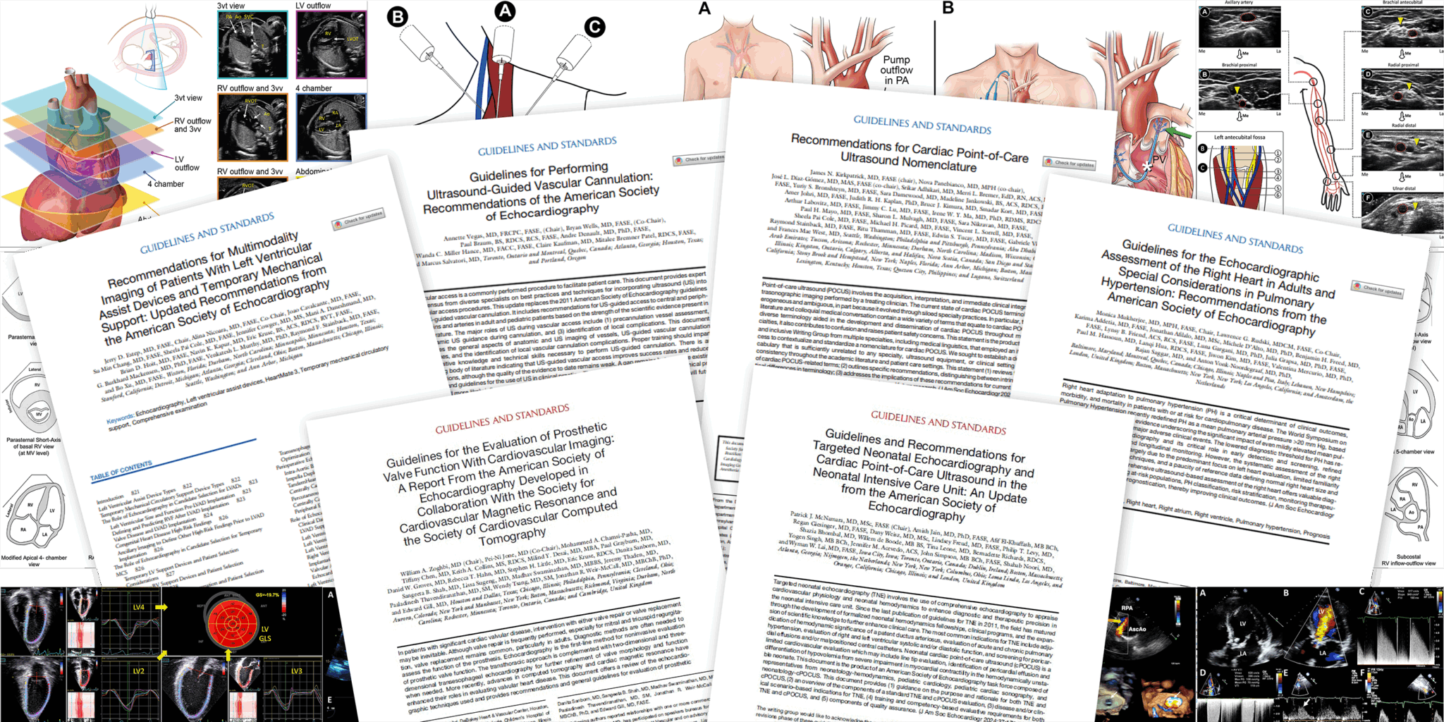 ASE Guidelines - ASE