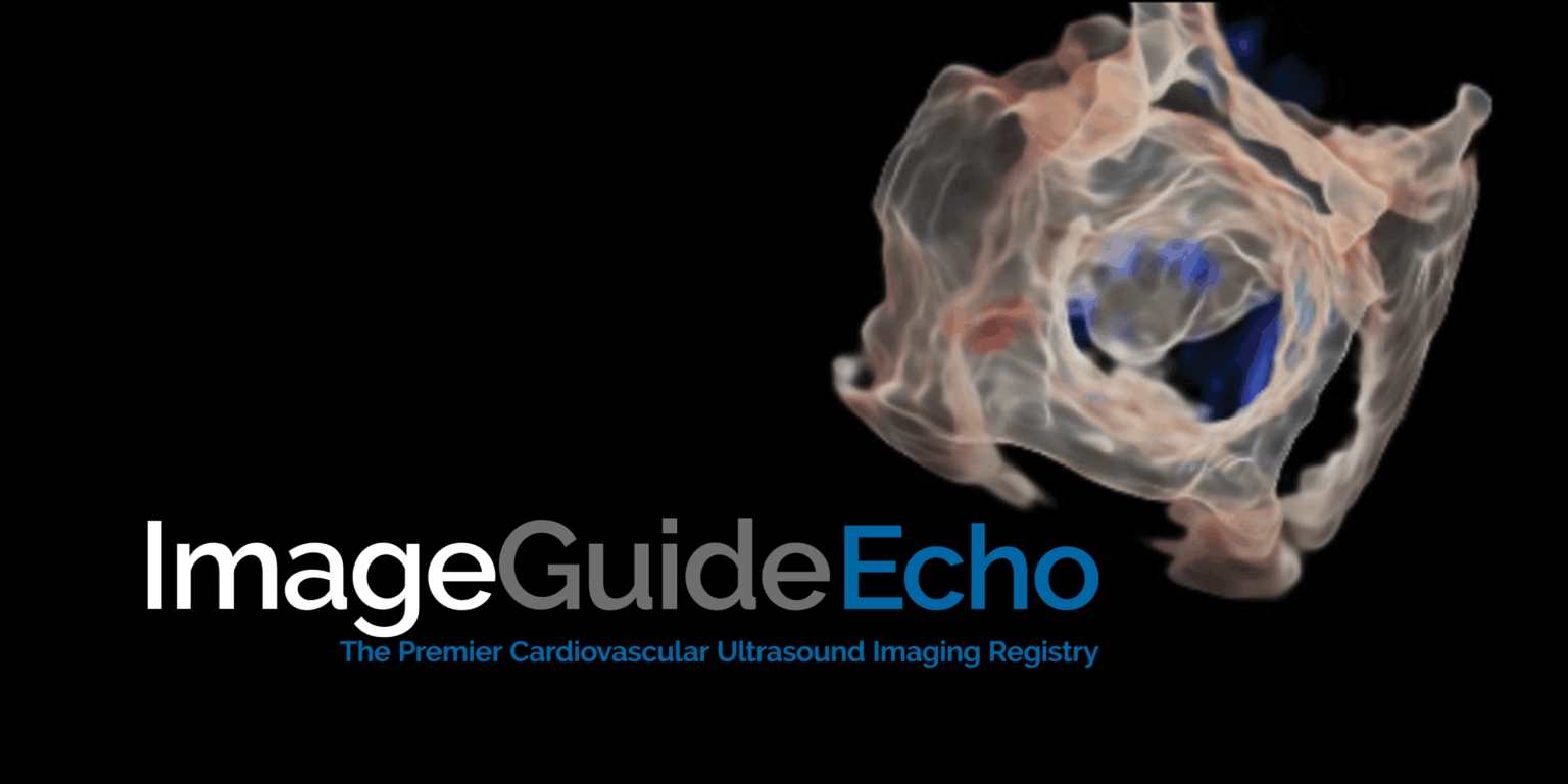 ImageGuideEcho Registry - ASE