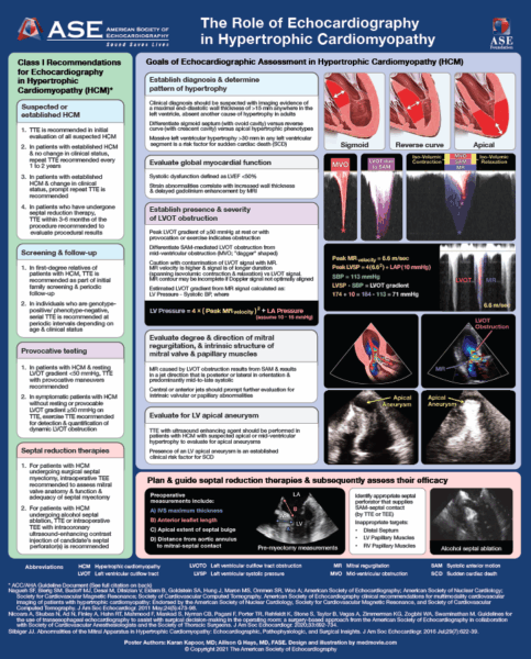 Hypertrophic Cardiomyopathy - ASE