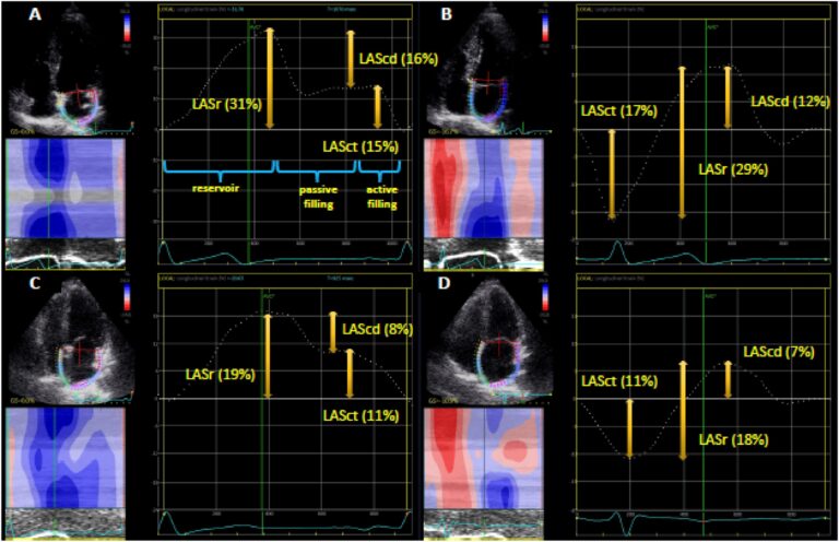 ASE Guidelines - ASE